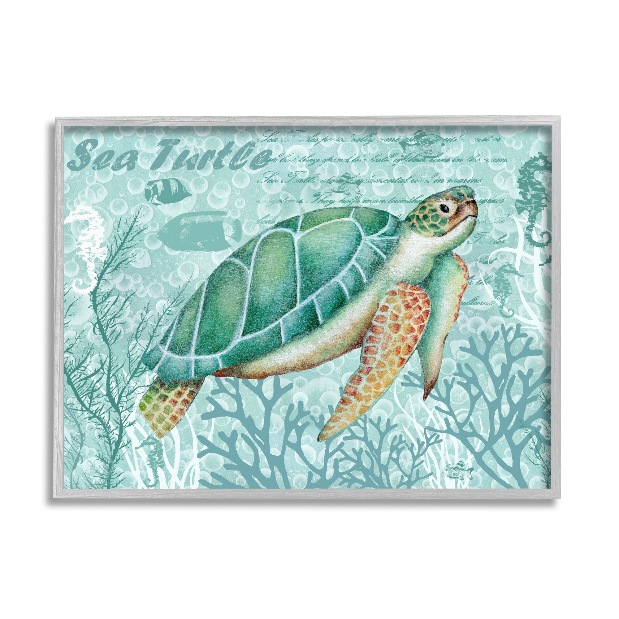 Stupell Industries Coral Bordered Sea Turtle Seahorse Script ...
