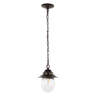 Gracie Oaks Natanim Oil Rubbed Bronze/Clear 1 - Bulb 72.5" H Outdoor ...