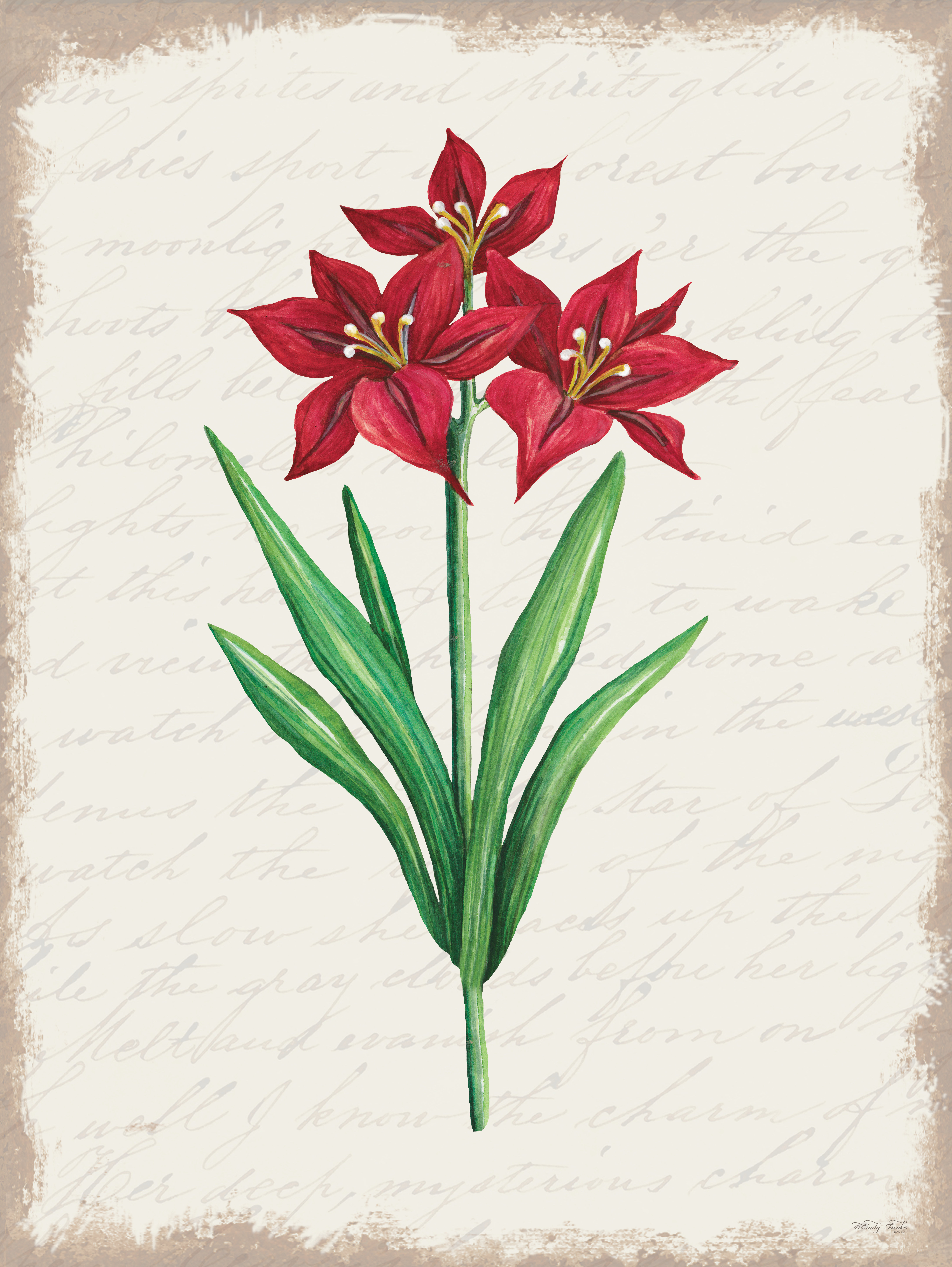 August Grove Red Amaryllis Botanical II - Wayfair Canada