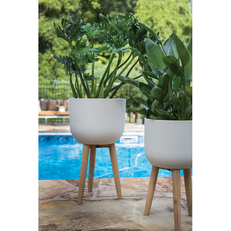 Joss & Main Luminara Plant Stand | Joss & Main