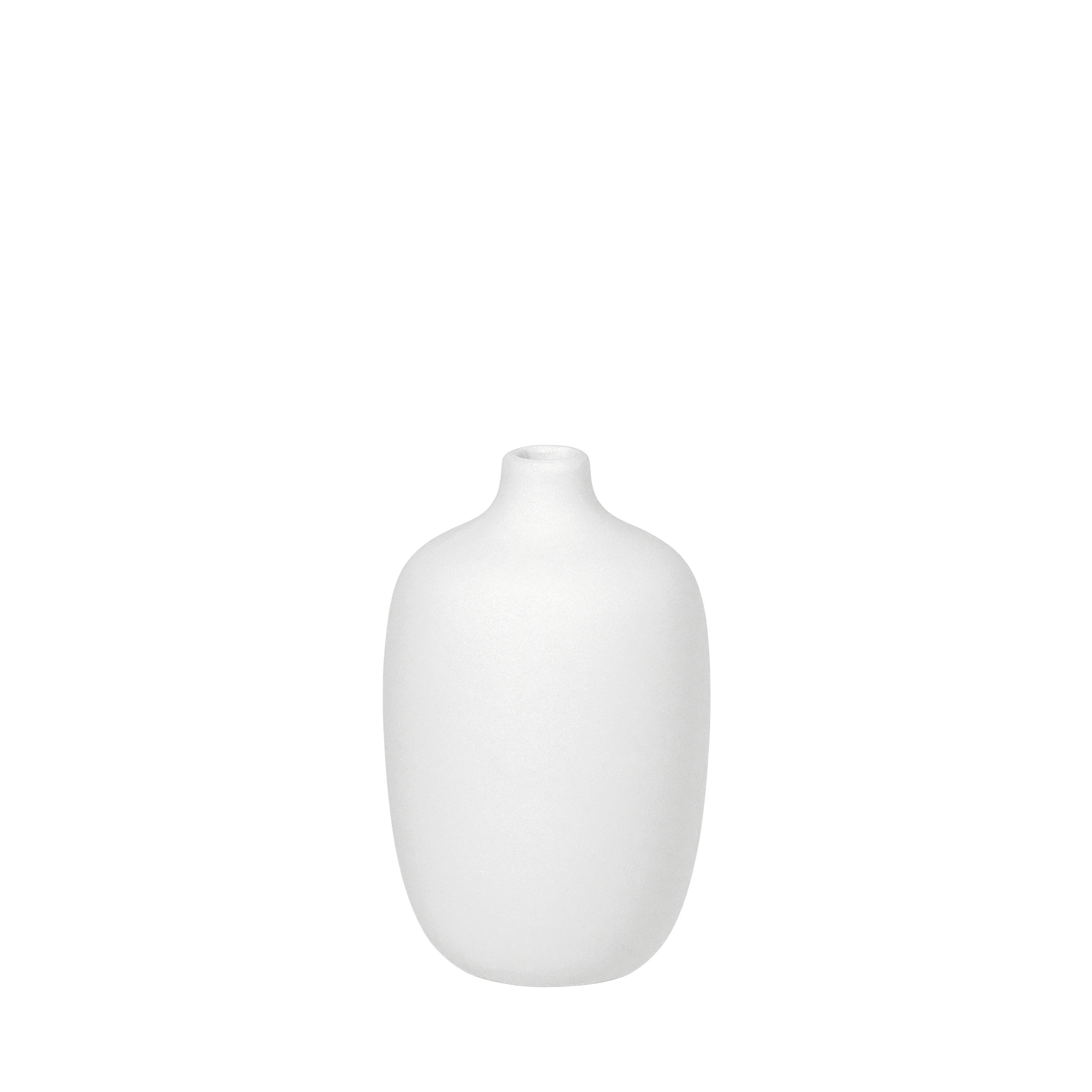 Blomus CEOLA Ceramic Table Vase 10'' & Reviews | Wayfair