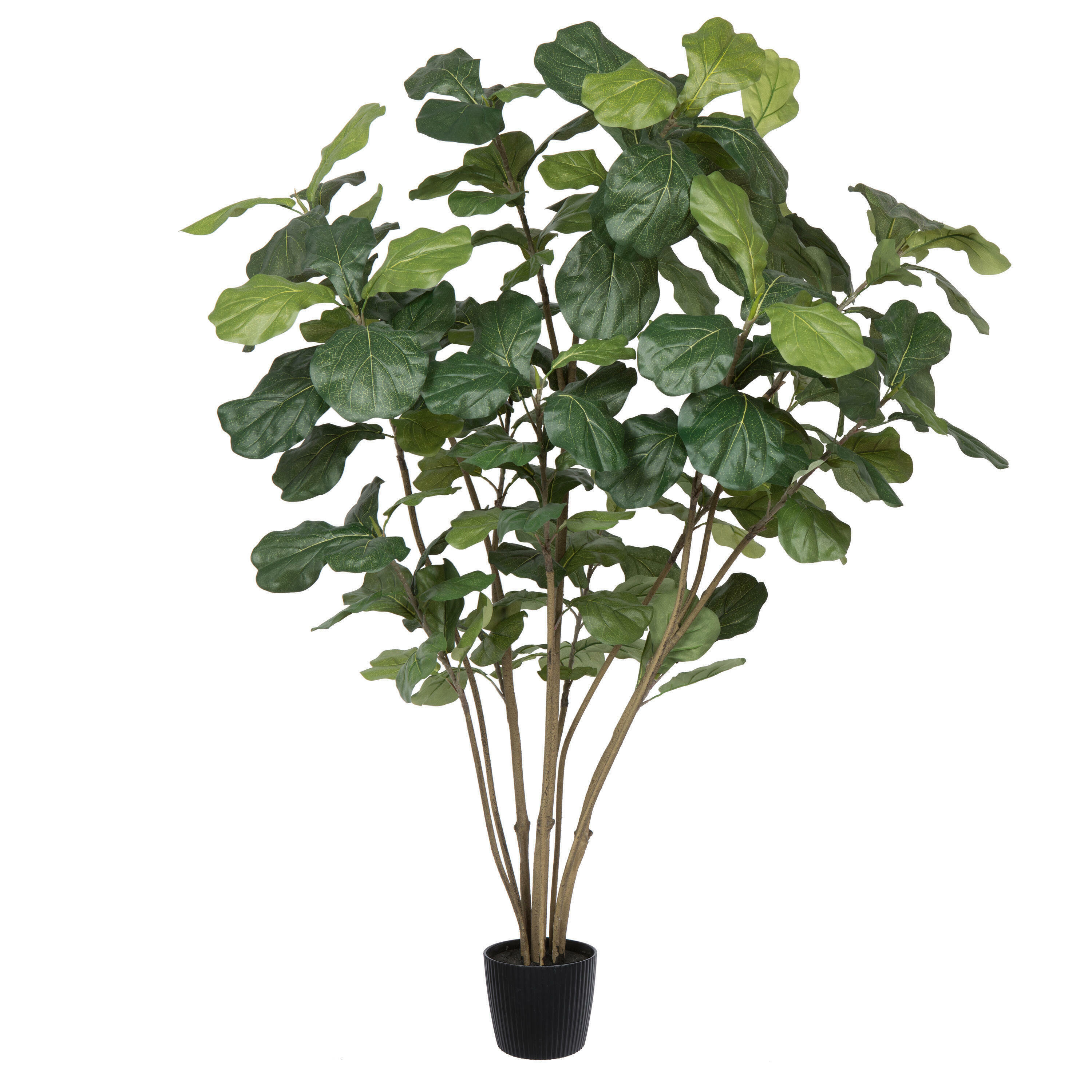 Birch Lane™ Artificial Green Potted Fiddle Tree & Reviews | Birch Lane