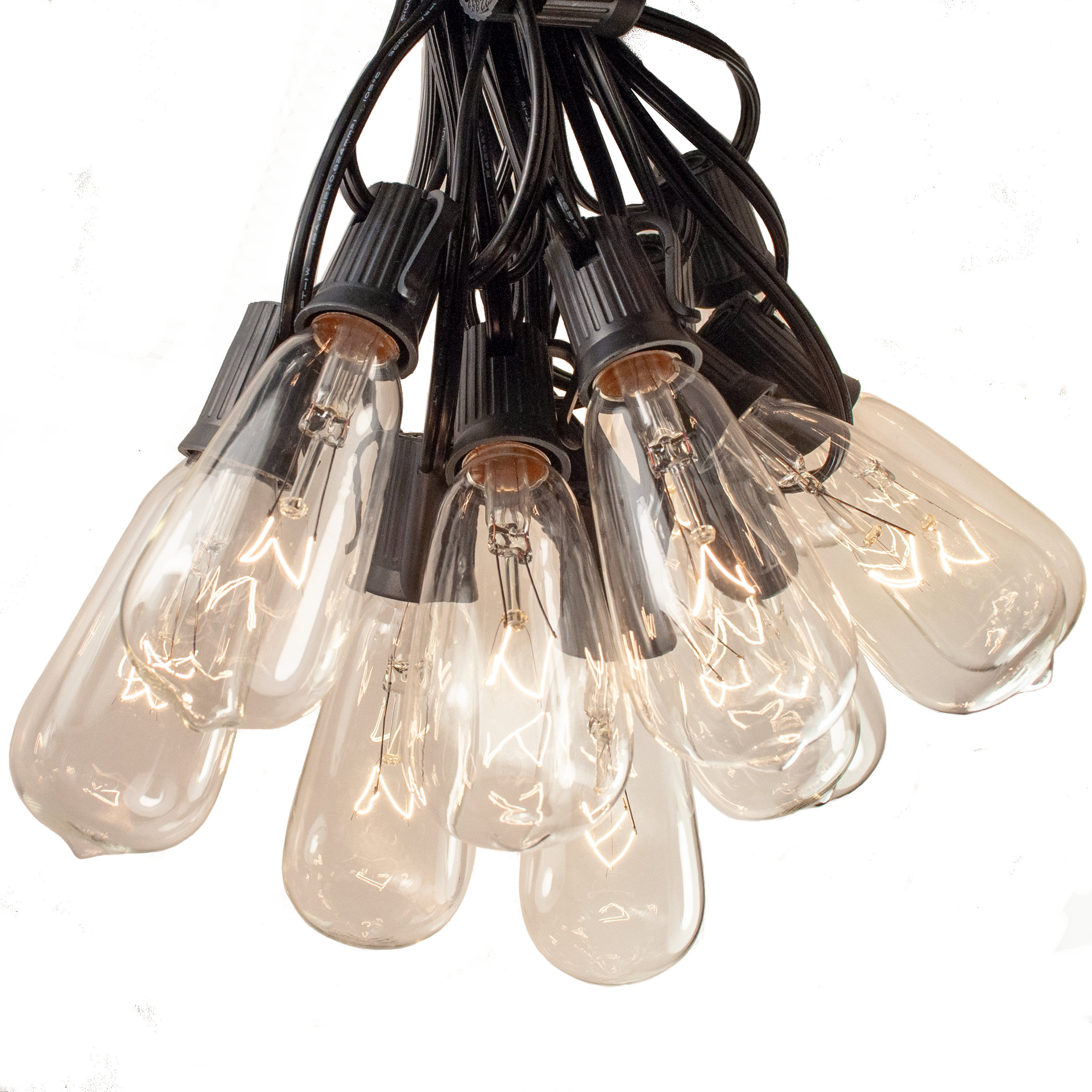 Hometown Evolution, Inc. Edison String Lights Outdoor 50 - Bulb ...