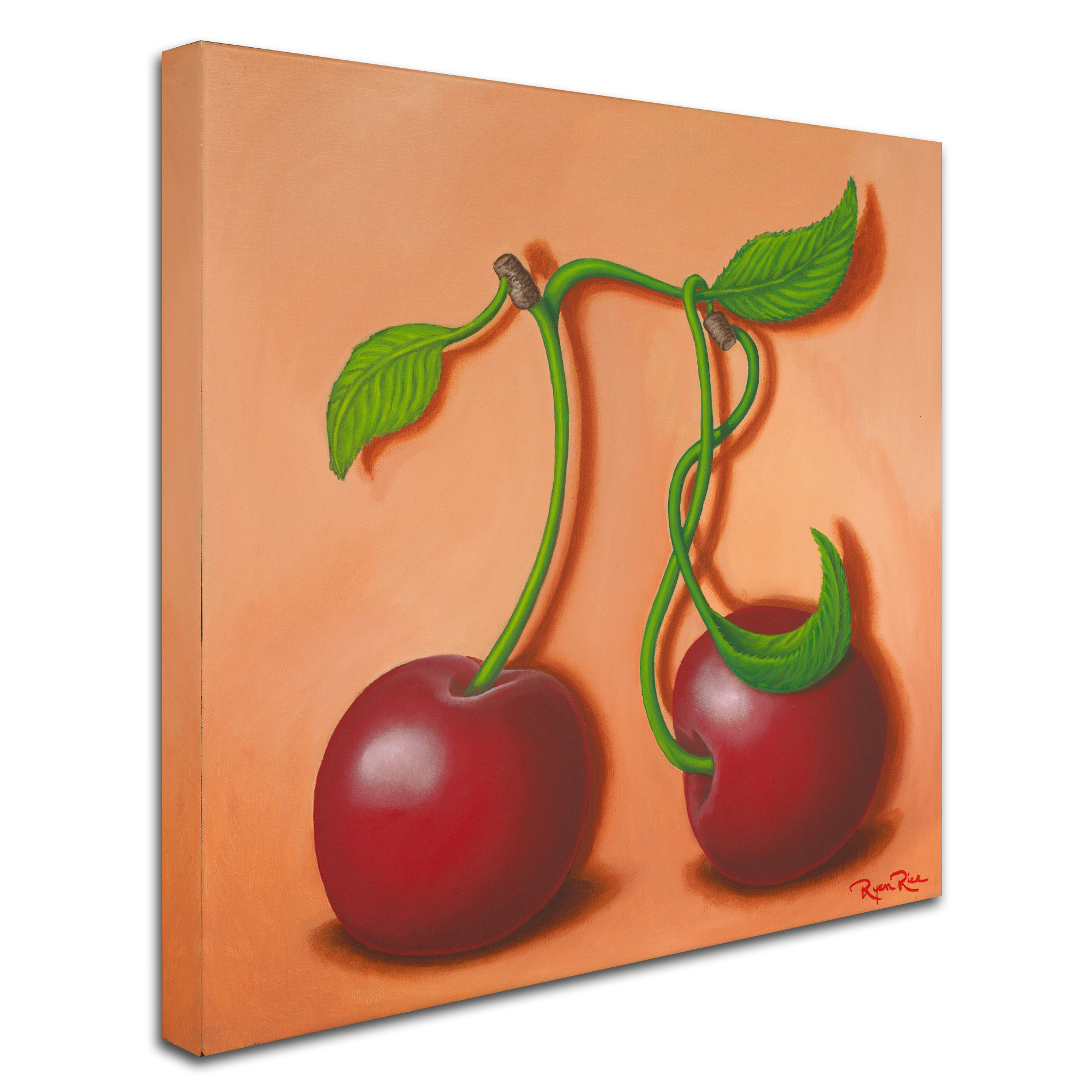 Trademark Fine Art 'Cherry Pi' Print on Wrapped Canvas - Wayfair Canada