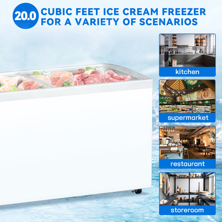 Egles 20 Cubic Feet Ice cream Freezer - Wayfair Canada