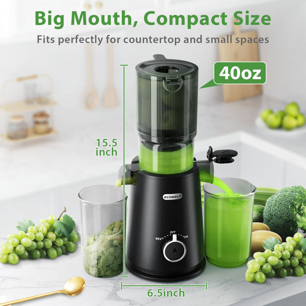 Ecoself Cold Press Juicer with 4.35" Large Feed Chute Fit Whole Fruits ...