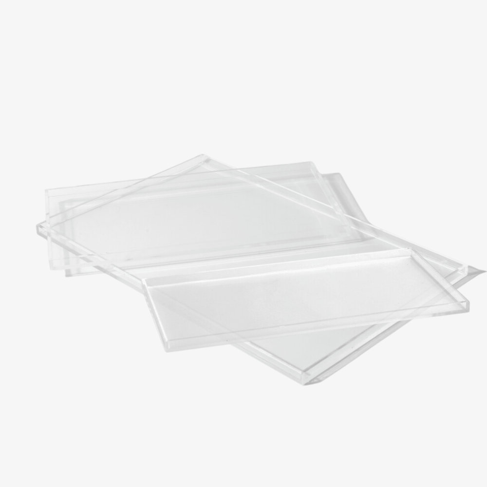 Hiddin Clear Overflow Feeding Tray & Reviews | Wayfair