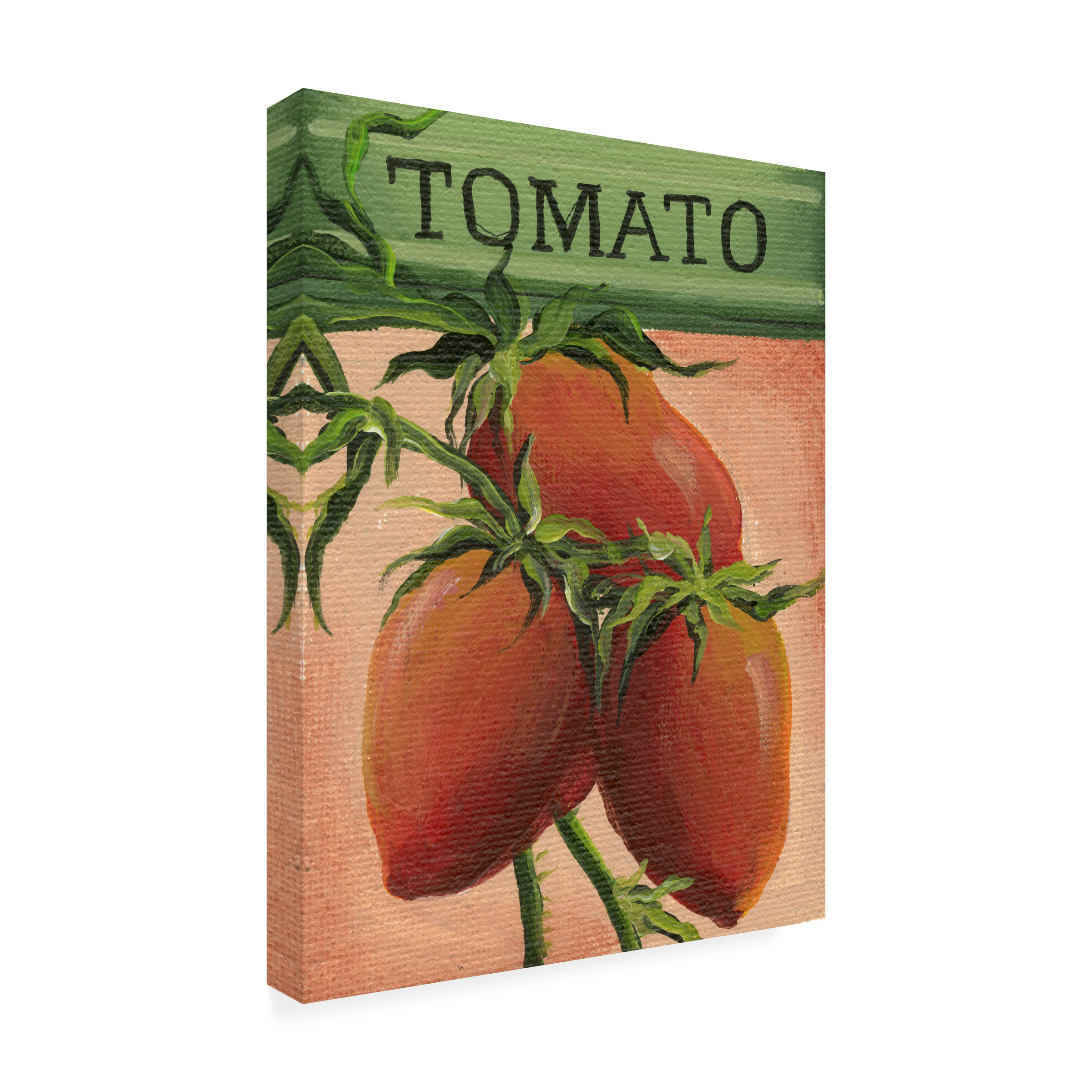August Grove® Labovick Seed Packets 26 - Tomato On Canvas by Debbi ...