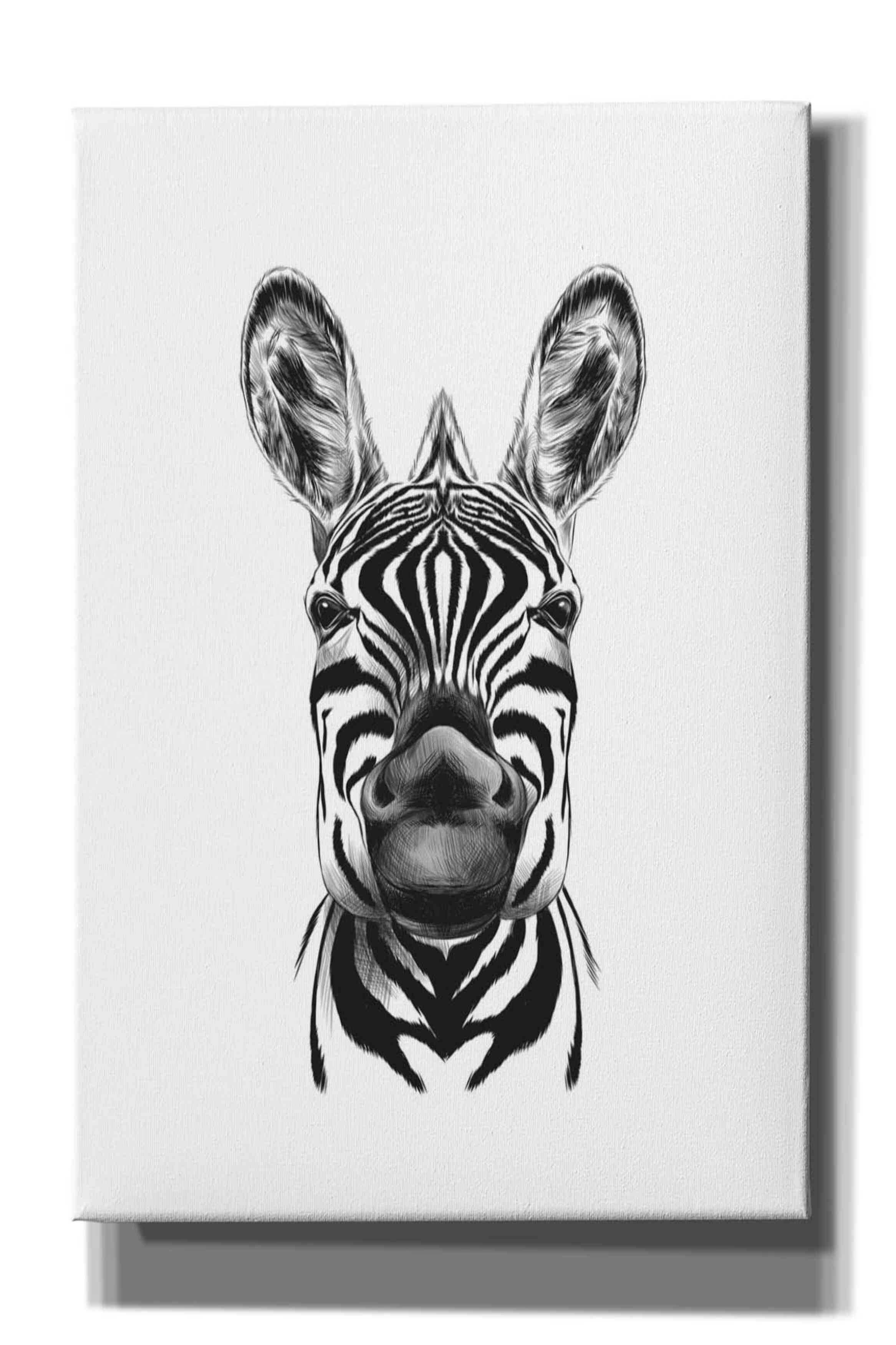 Dakota Fields Gensingh Zebra Illustration by Incado - Wrapped Canvas ...