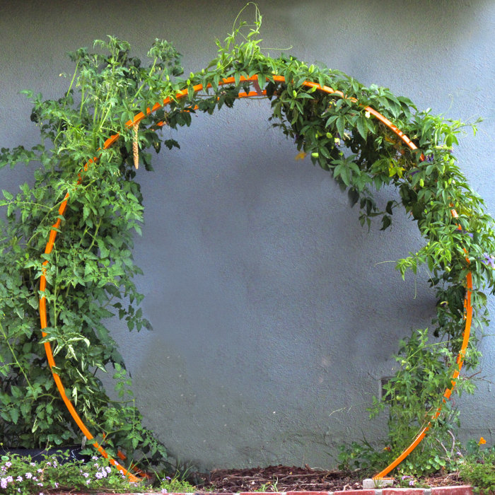 TerraTrellis Gracie Modern Steel Arbor & Reviews | Wayfair