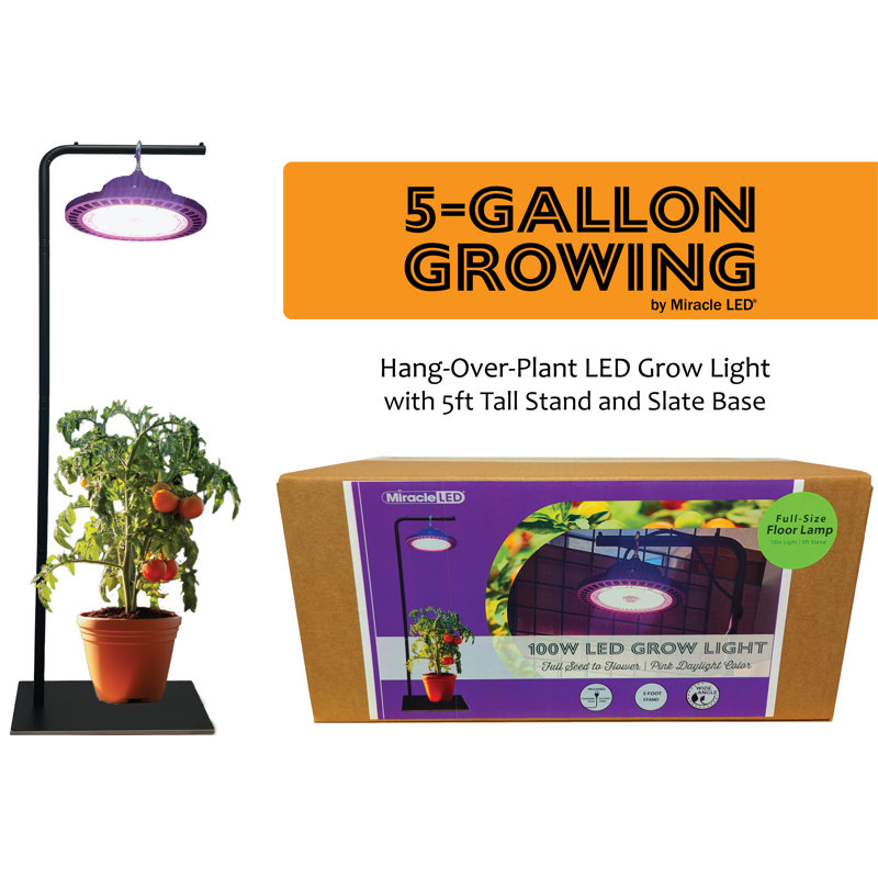 Miracle LED LED 5-Gallon Growing Combo with 100W Grow LED Light & 5ft ...