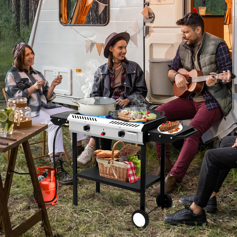 Winado 2 Burner Outdoor Propane Gas Stove With Auto-ignition & Side ...