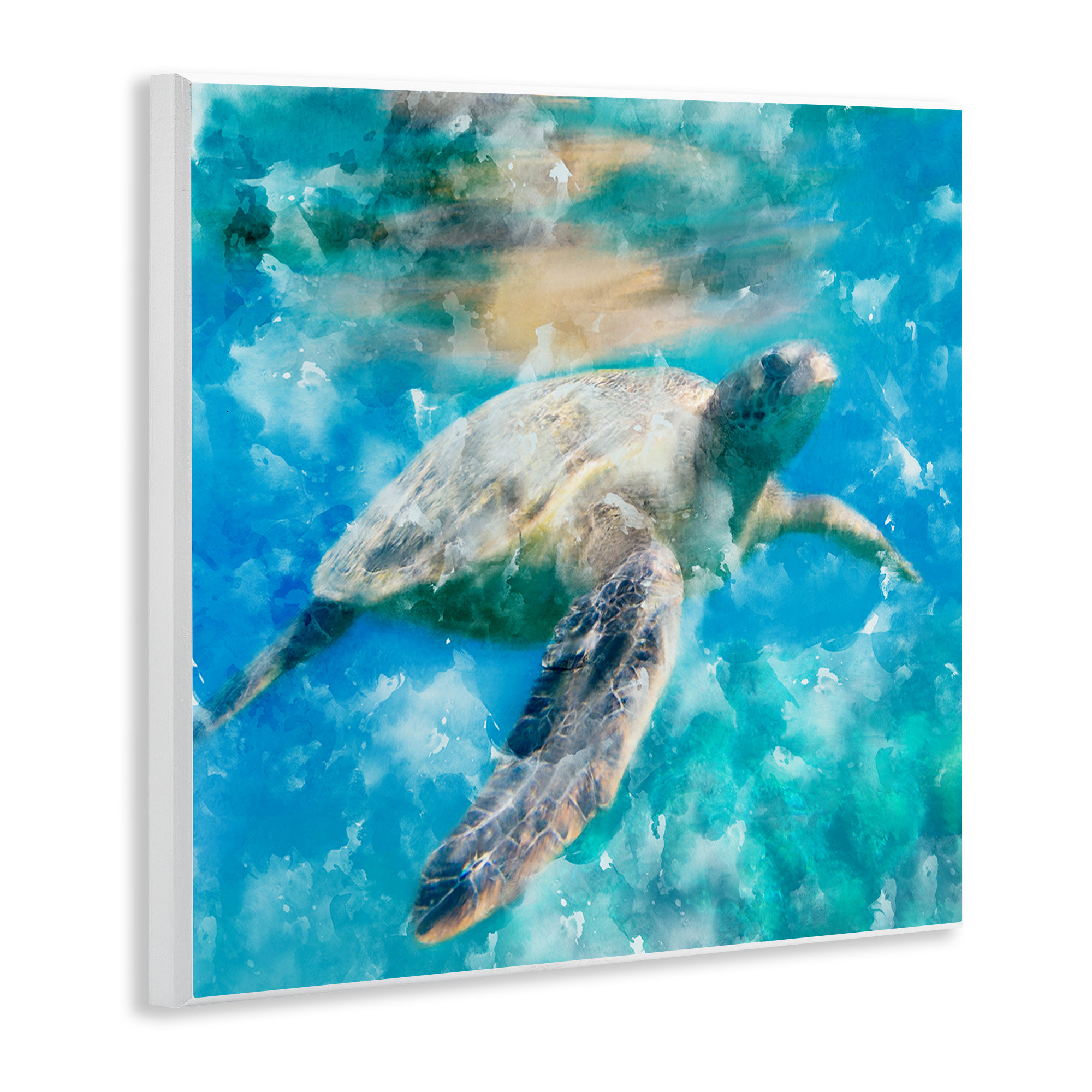 Highland Dunes Aquatic Swimming Sea Turtle Wall Plaque Art by Kim Allen ...