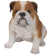 Hi-Line Gift Ltd. Dog Bulldog Statue & Reviews | Wayfair