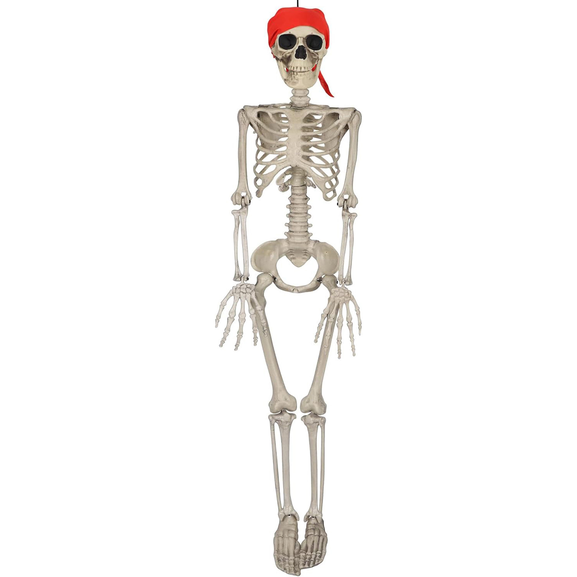 The Holiday Aisle® 3Ft/90Cm Halloween Skeleton, Full Body Skeleton ...