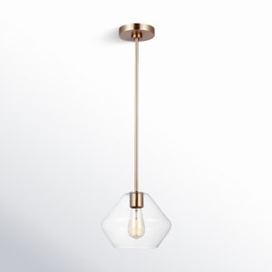 Single Pendant Lights | Wayfair