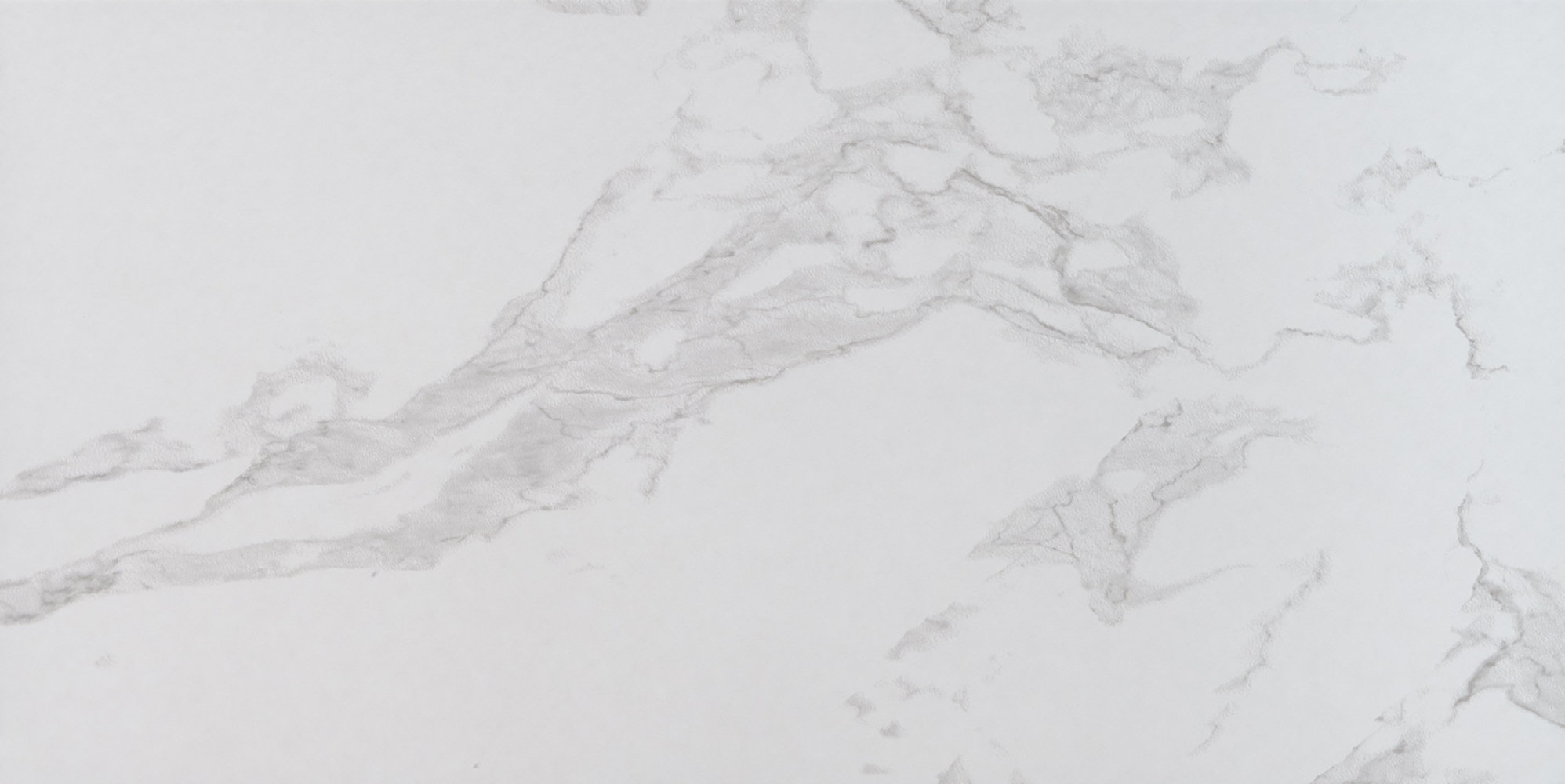 Ackland Chiara 24 in. x 48 in. Matte Porcelain Stone Look Floor and ...