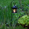 Longshore Tides Vanessa Black Solar Lantern with Shepherd's Hook ...