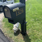 Step2 MailMaster Hudson Post Mounted Mailbox & Reviews | Wayfair