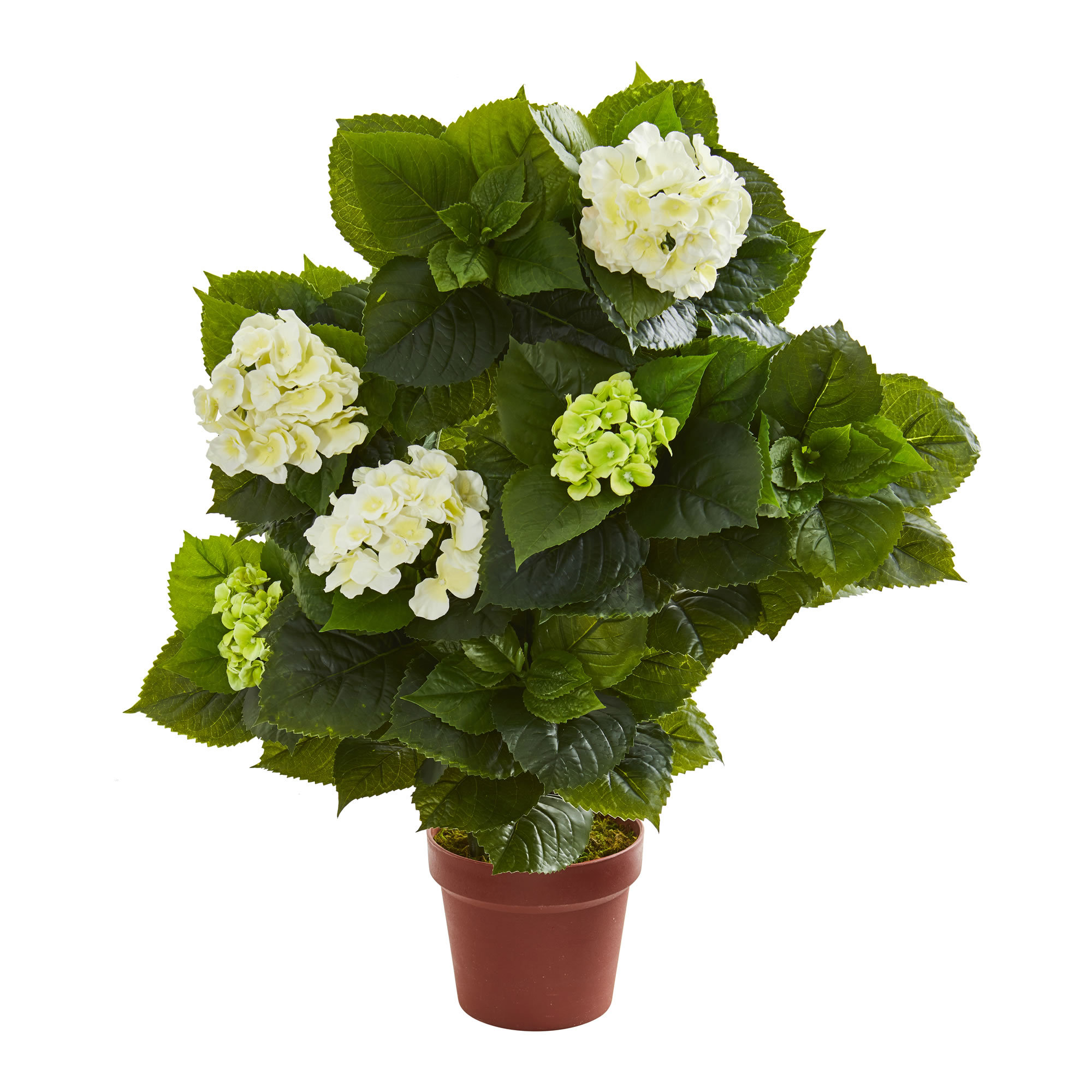 Charlton Home® 29" Artificial Flowering Plant in Pot | Wayfair