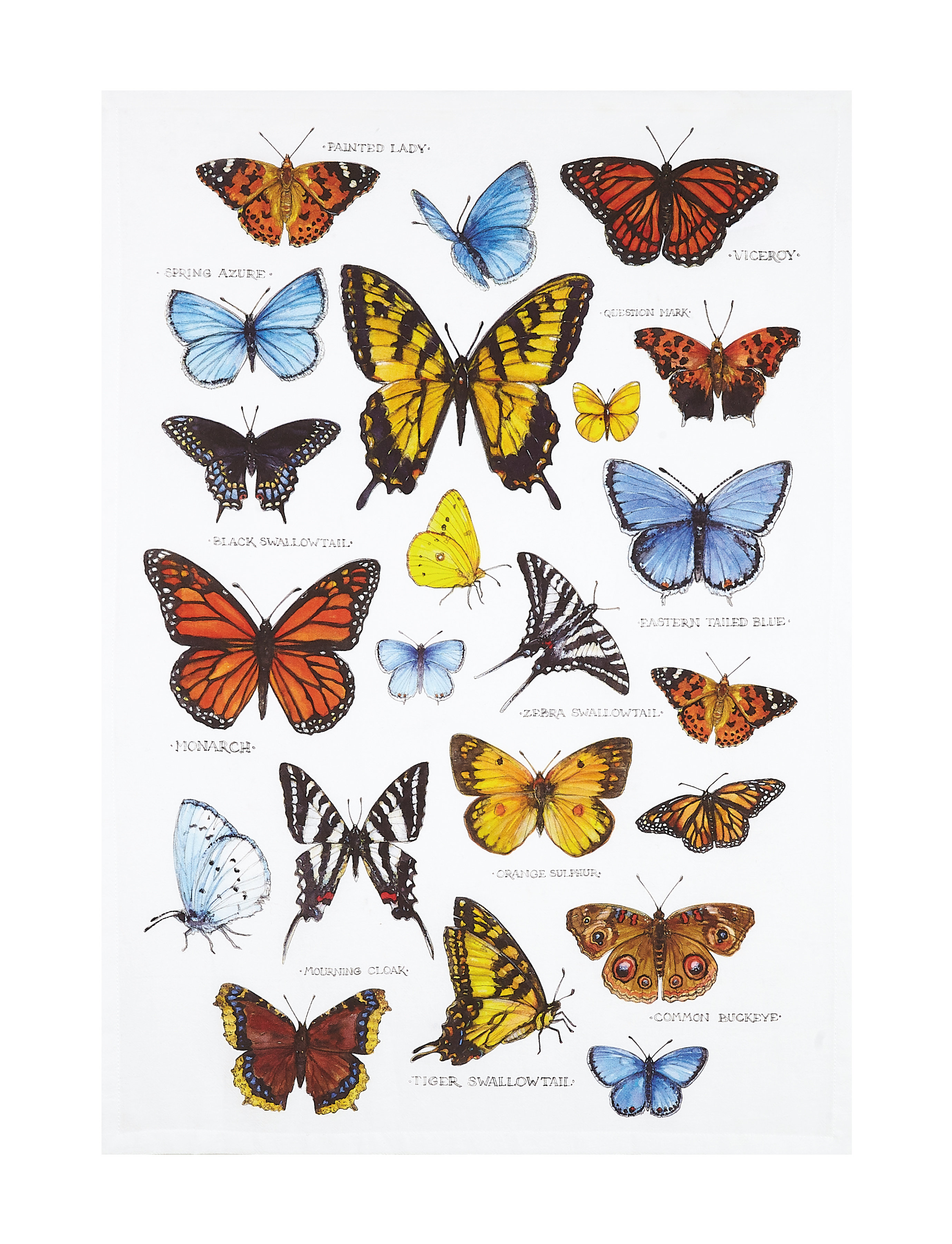 Peking Handicraft Butterfly Study Kitchen Towel | Wayfair