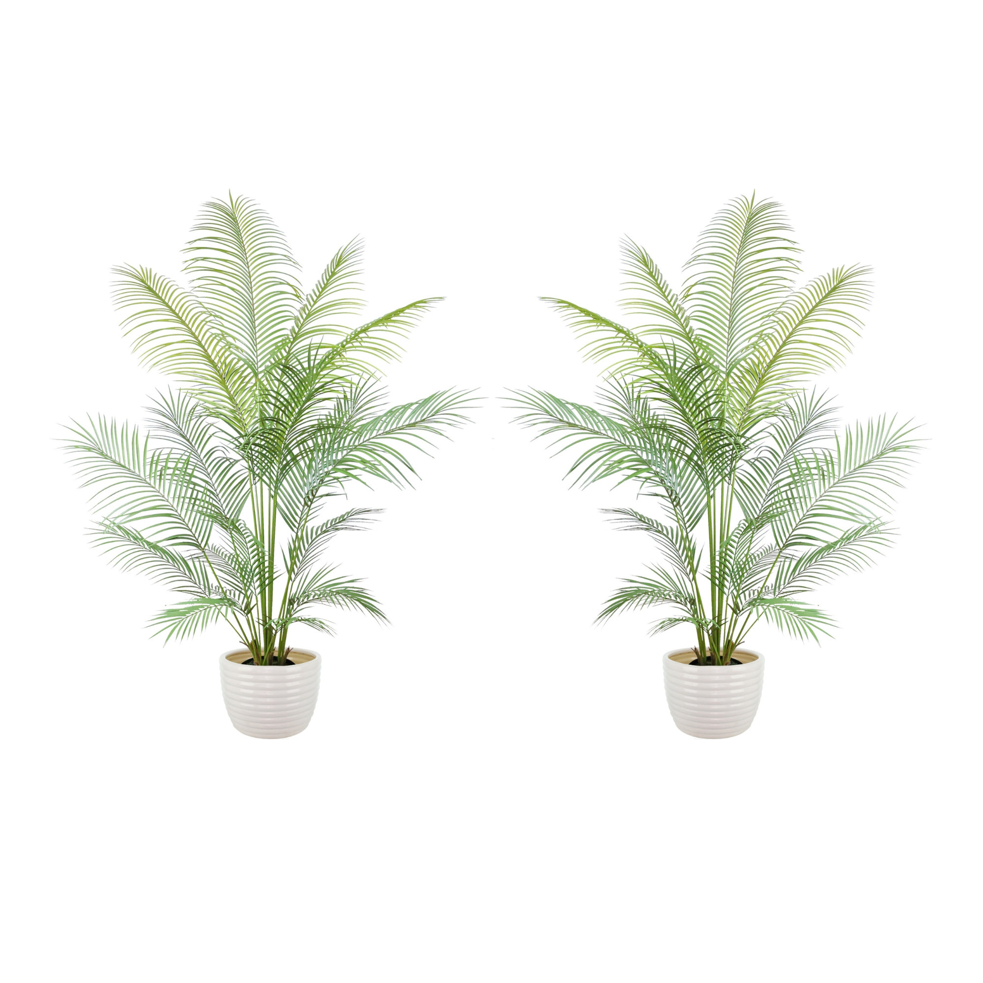 Creative Displays, Inc. Toledo 5.5' Kentia Palm Drop-In Trees with ...