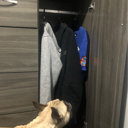 Zipcode Design Cascio 1 Door Wardrobe & Reviews | Wayfair.co.uk