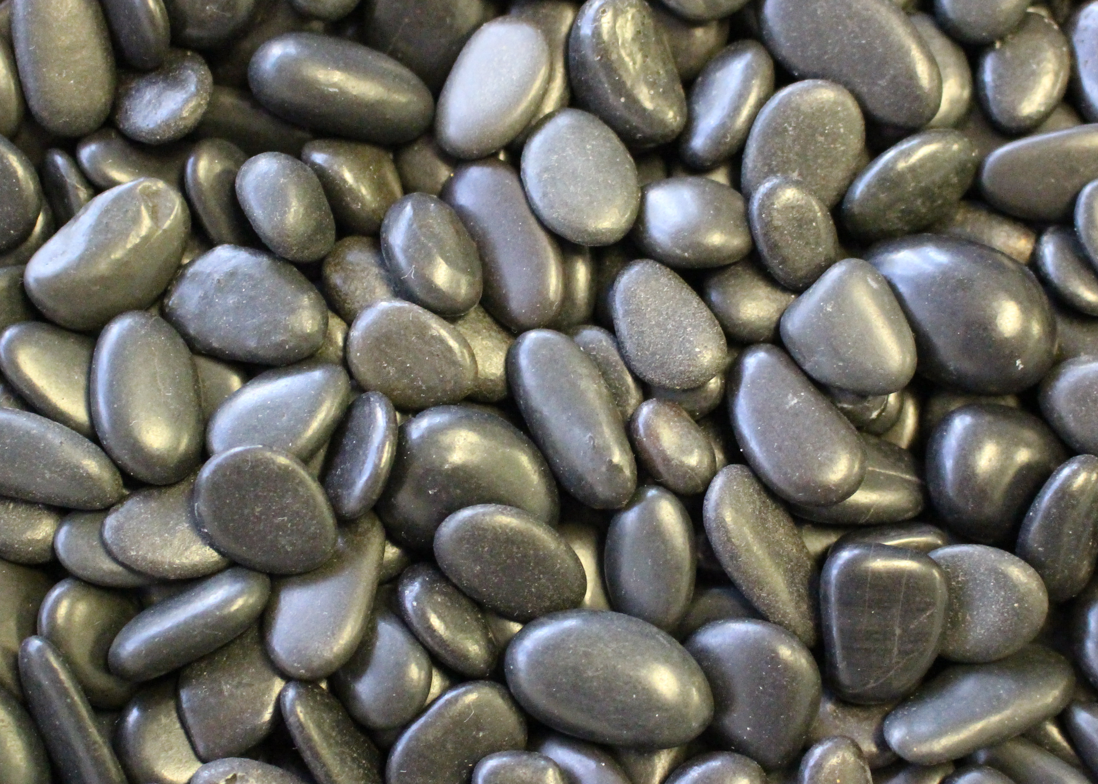 Exotic Pebbles & Glass Landscape & Nature Vase Filler & Reviews | Wayfair