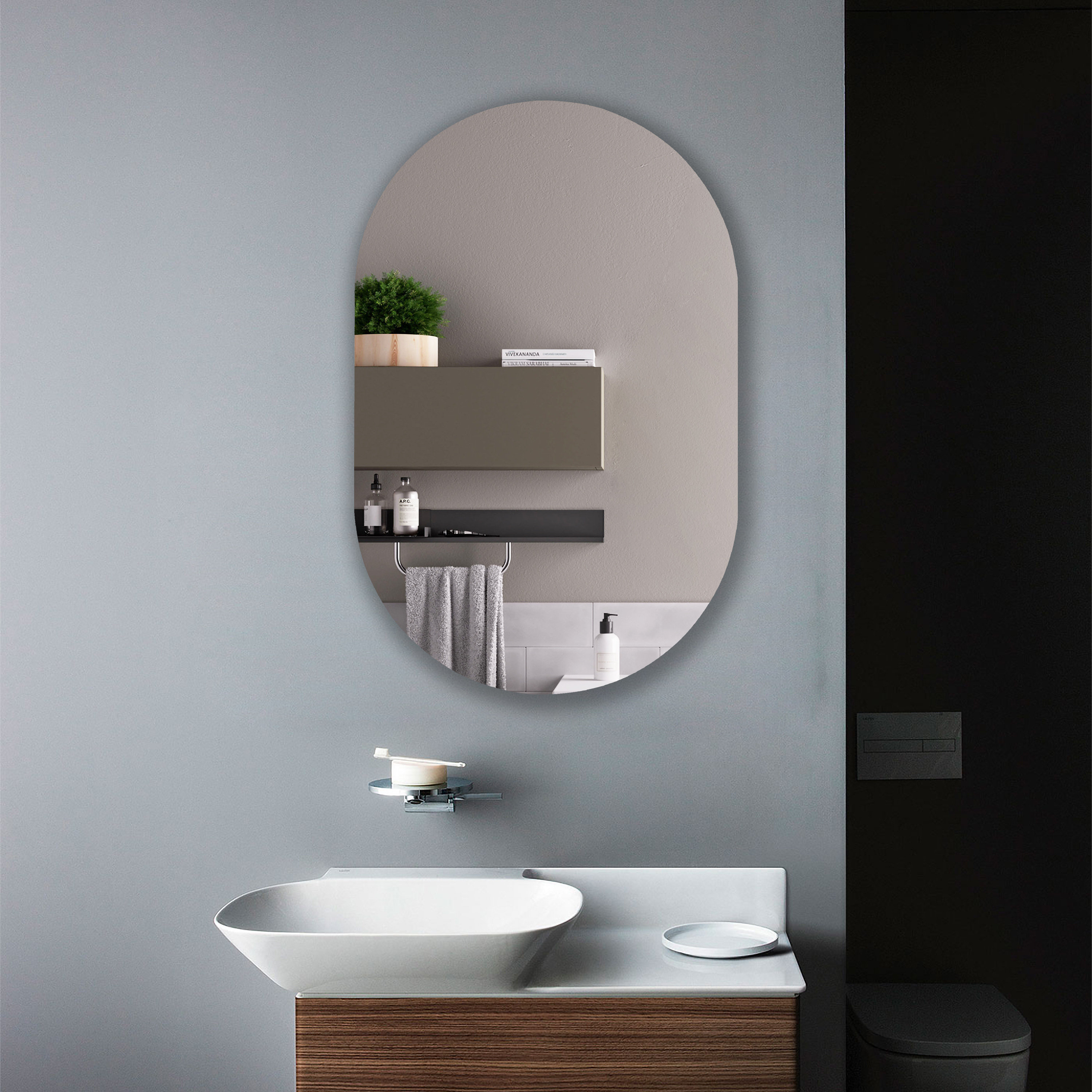 Bathroom Mirror Reflection