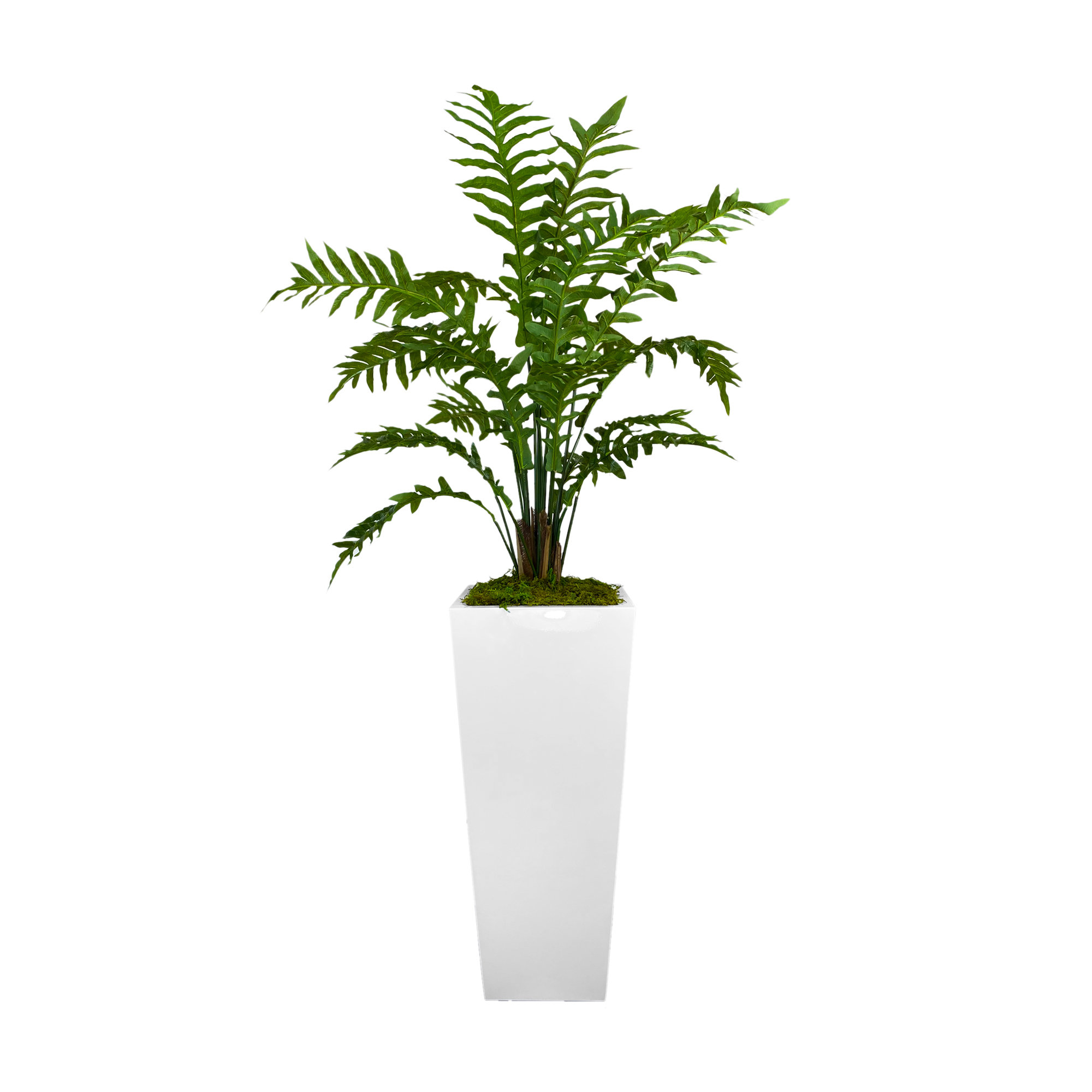 Primrue Ridgewood 63" Artificial Fern Tree in Planter | Wayfair