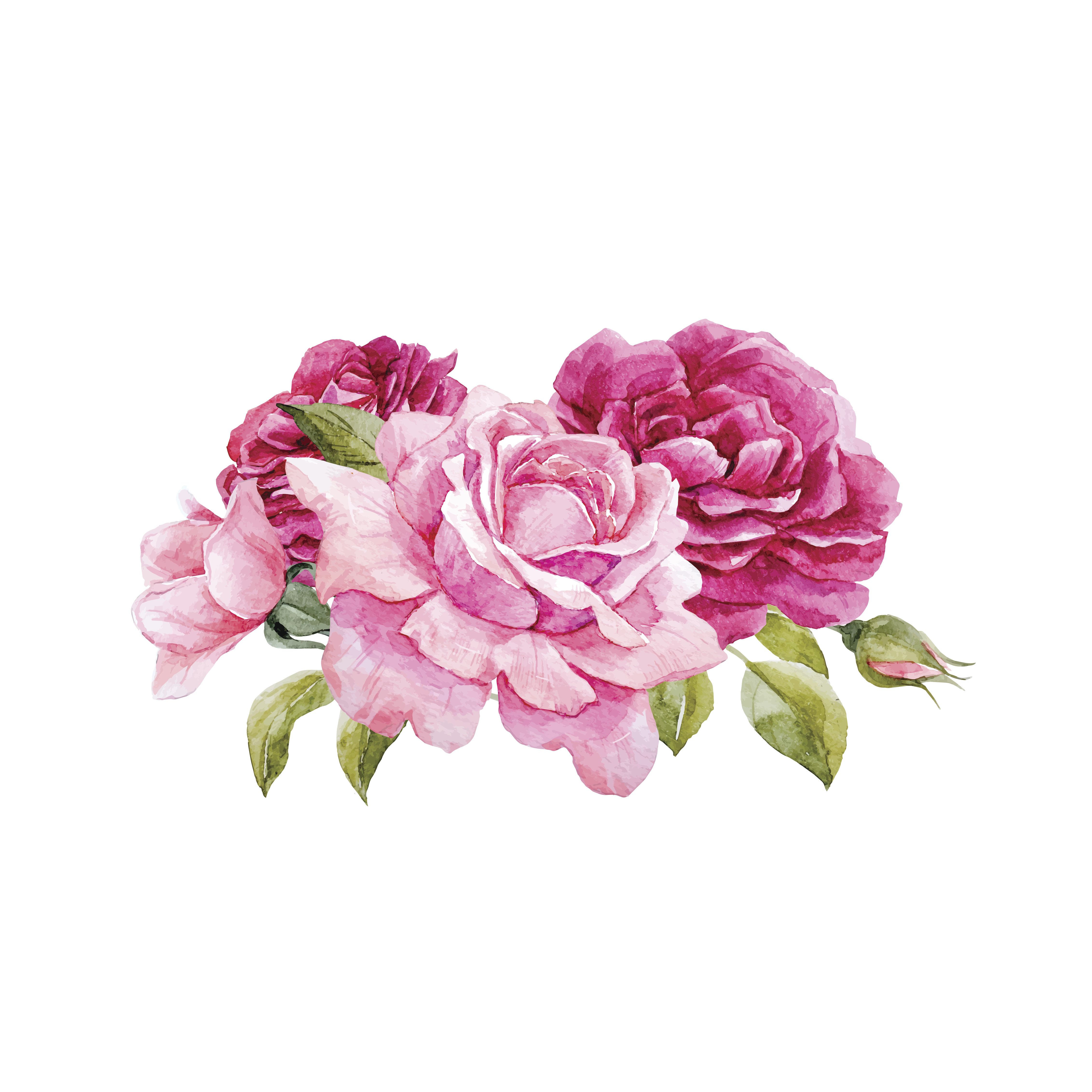 House of Hampton® Keshanna Watercolor Vector Roses Composition by ...