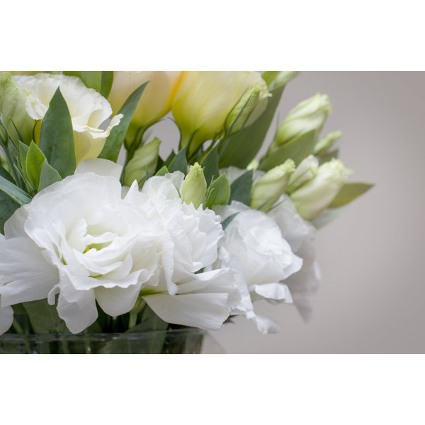 Canora Grey Beautiful White Flower Like Us A White Rose by Liubovi ...