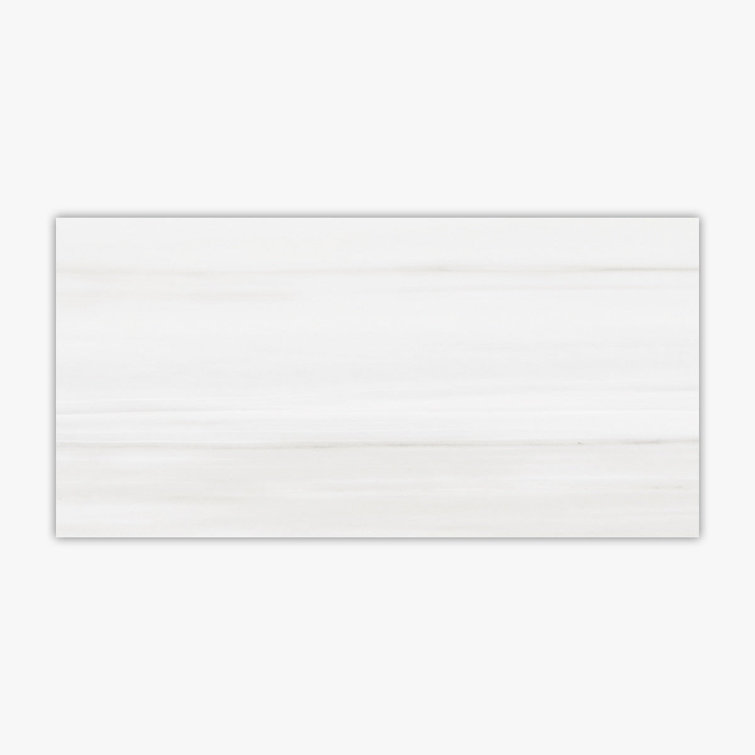 Direct Stone Source 12" x 24" Porcelain Wall & Floor Tile | Wayfair
