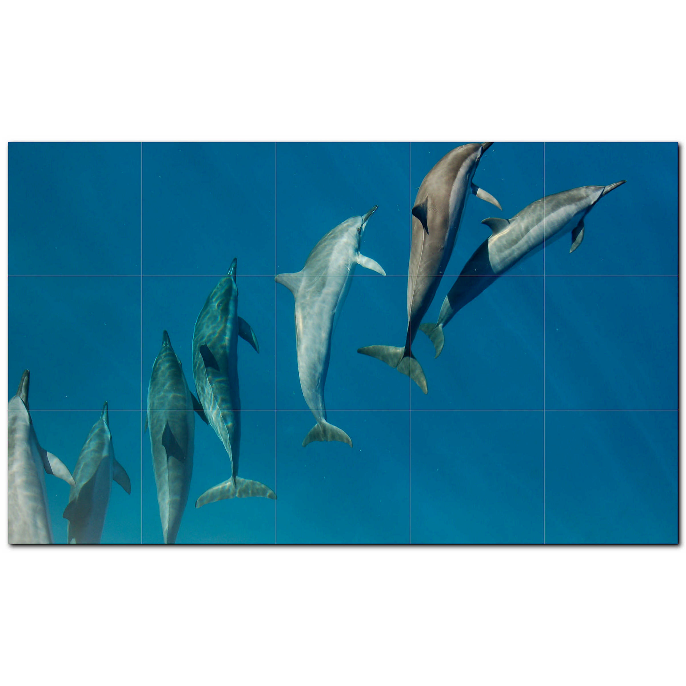 Picture-Tiles.com 60" x 36" Ceramic Dolphin Photo Decorative Mural Tile ...