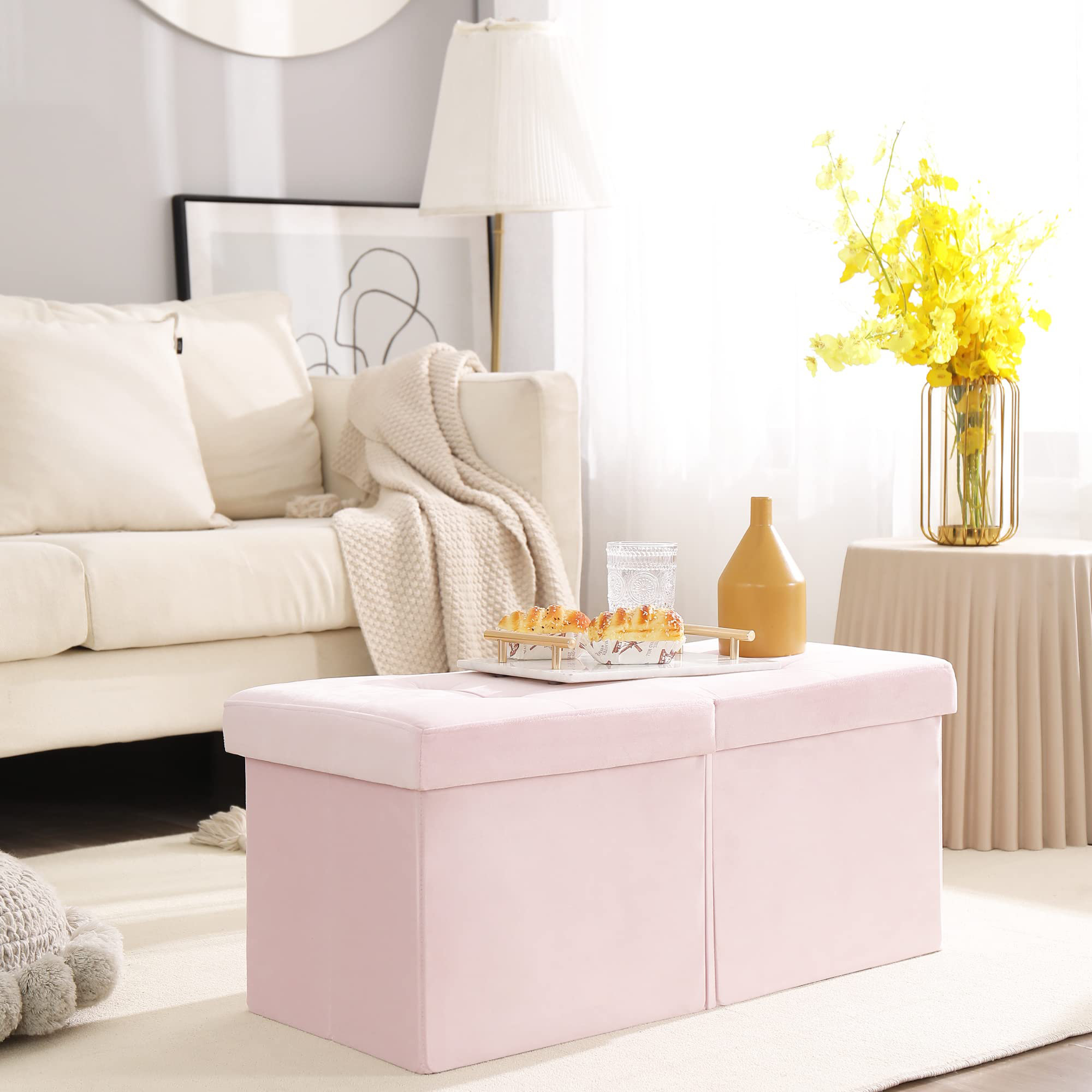 Latitude Run® Lynnelle Storage Ottoman Bench Foldable Seat Footrest ...