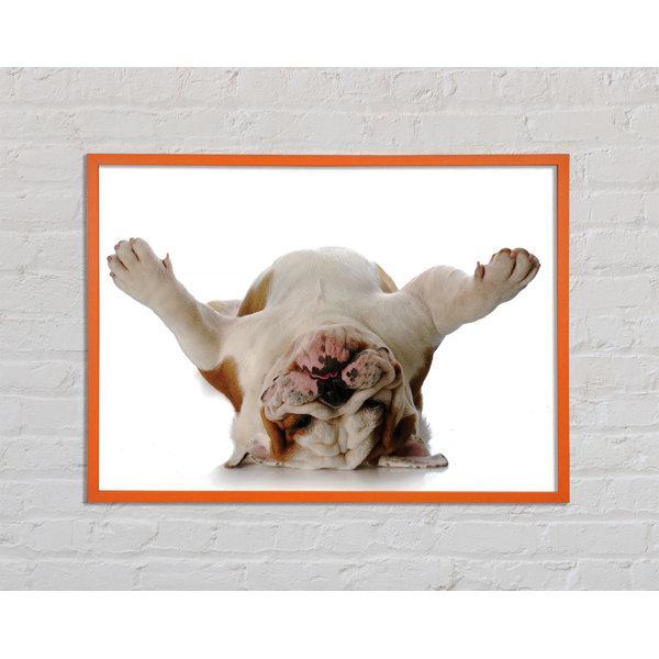 Brayden Studio Anjelah English Bulldog Snooze - Single Picture Frame ...