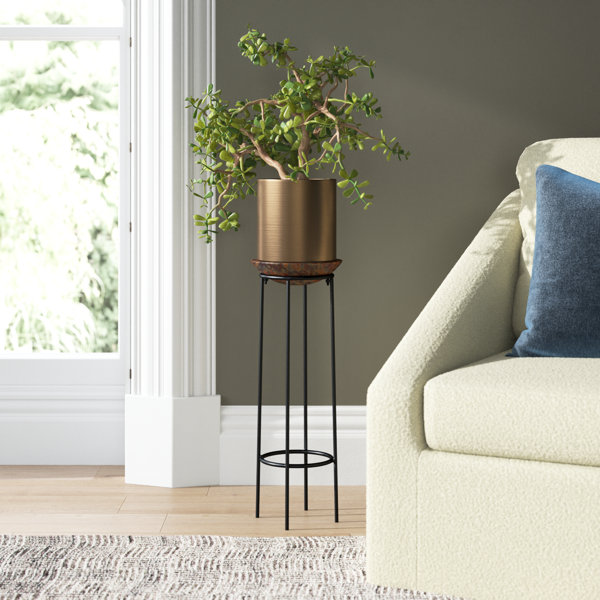 Joss & Main Olene Plant Table & Reviews | Joss & Main