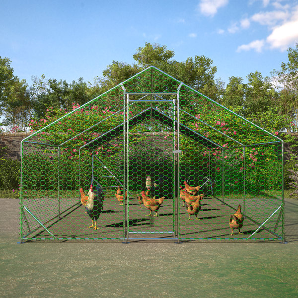 Tucker Murphy Pet™ Emelye Chicken Run with Chicken Roost Ladder | Wayfair