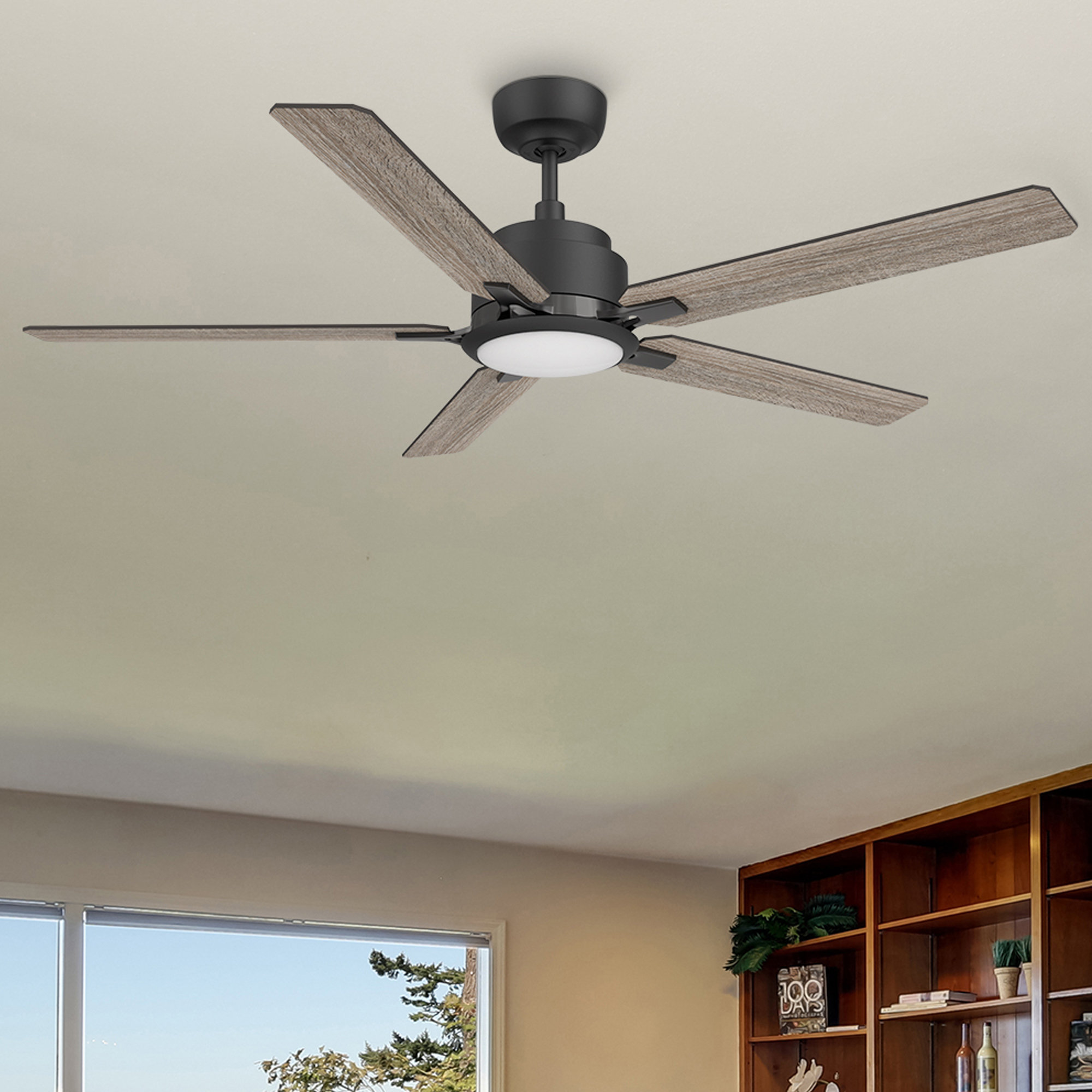 Latitude Run® 52'' Ceiling Fan with LED Lights - Wayfair Canada