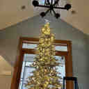 The Holiday Aisle® Johvan Deluxe Pre-Lit Slender Flocked Realistic Fir ...