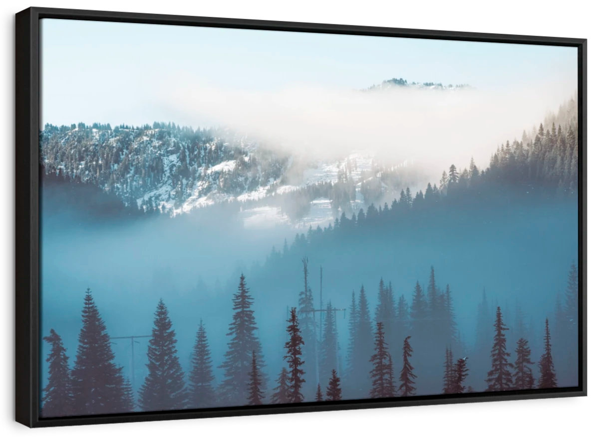 Elephant Stock Nature " Forest Morning Mist Wall Art " | Wayfair