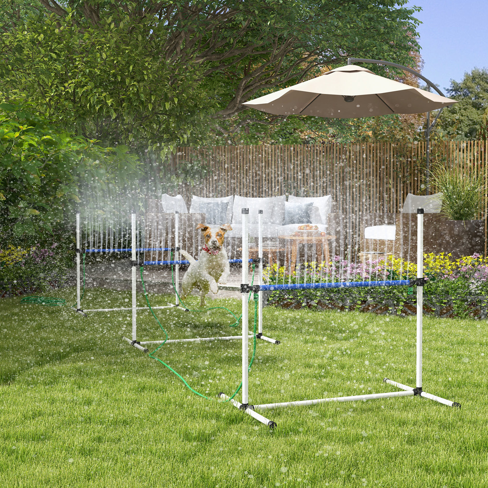 Tucker Murphy Pet™ 3 Piece Dog Agility Equipment Bundle - With ...