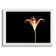 Latitude Run X-Ray Orange - Single Picture Frame Print | Wayfair.co.uk
