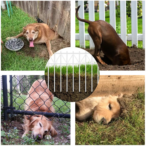 EFPerfect 15'' H x 24'' W Animal Anti-digging Barrier Fence Rustproof ...