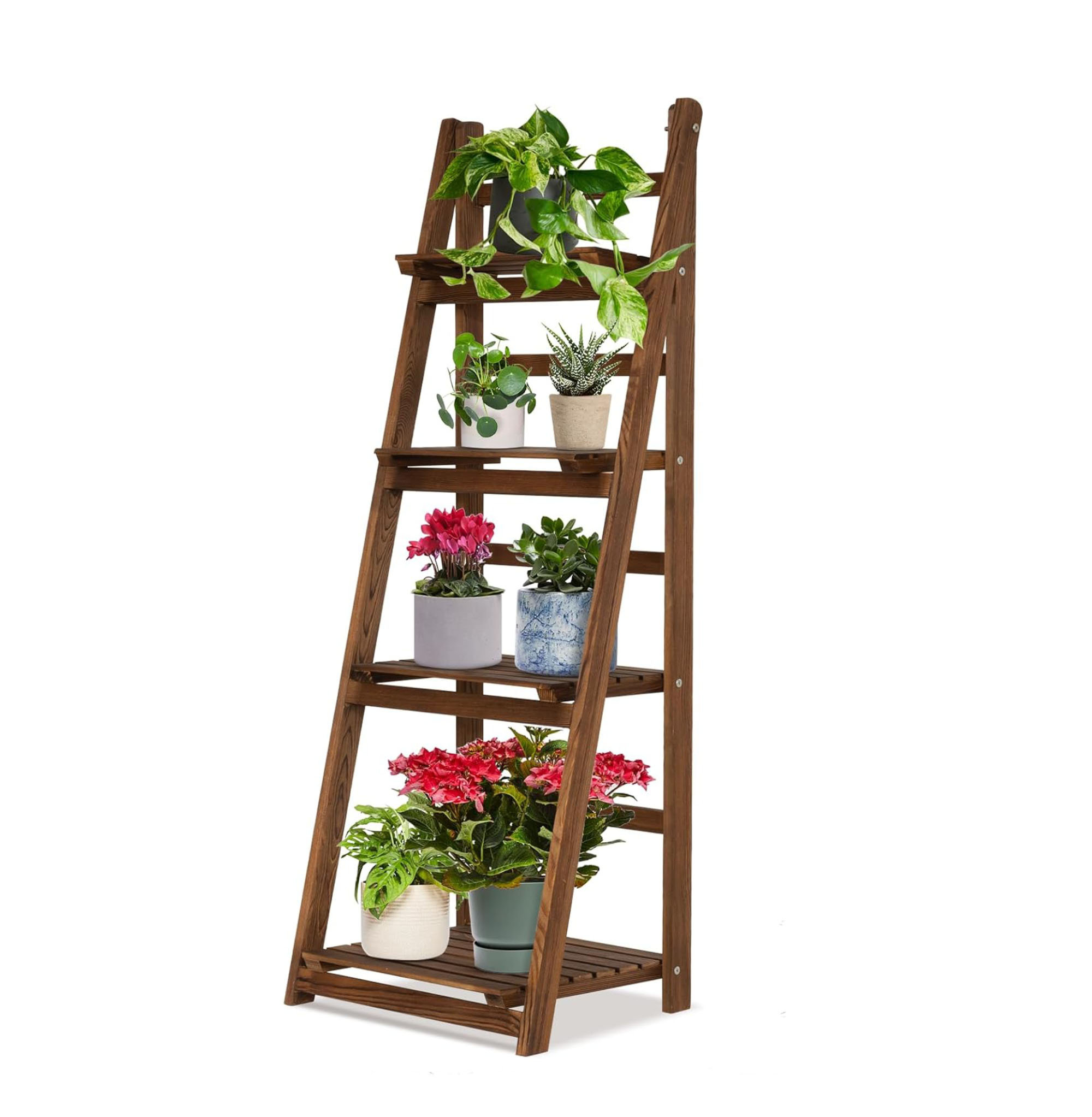 Ophelia & Co. 4 Tier Wooden Ladder Shelf ,Bookcase Ladder Shelf | Wayfair
