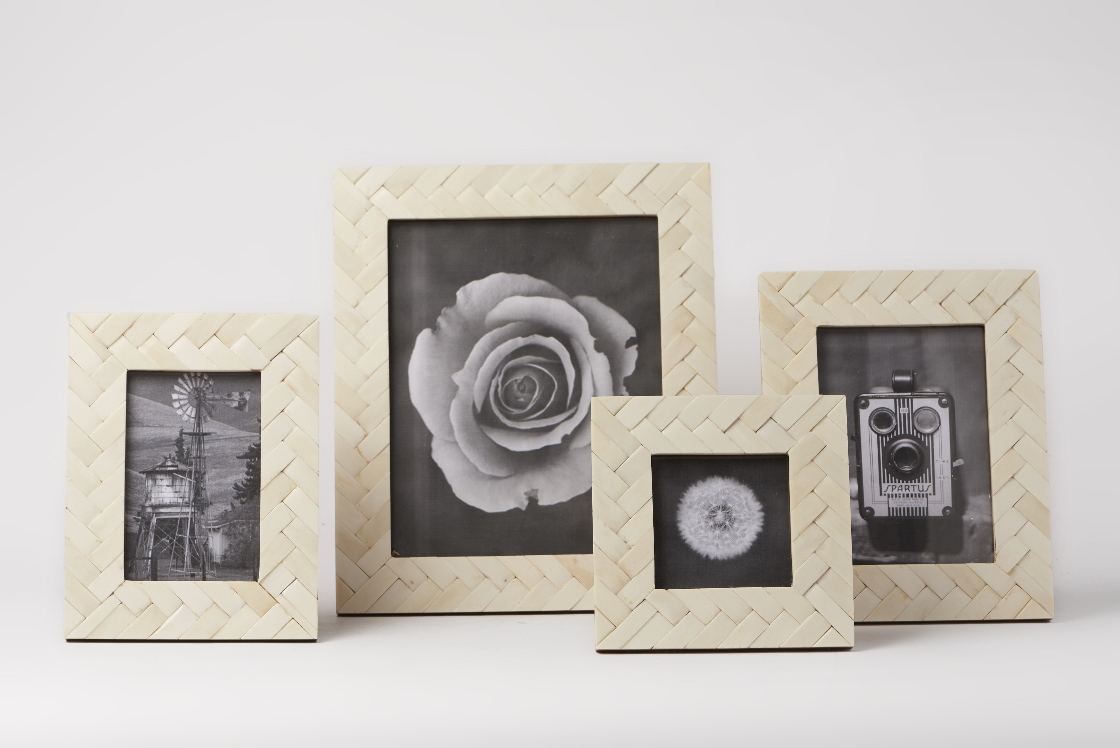 AllModern Zephyr Bone Picture Frame | Wayfair