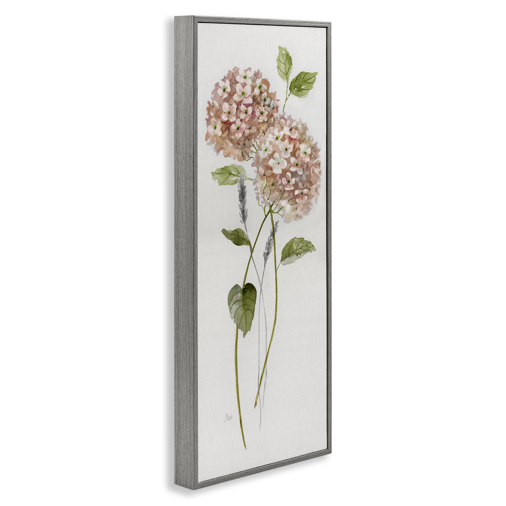 Ophelia & Co. Two Pink Hydrangeas Framed Giclee, design by Nan | Wayfair