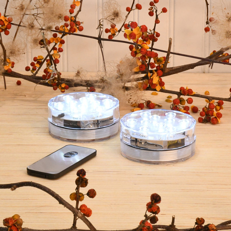 The Holiday Aisle® Submersible Battery Operated White LED Lights with ...