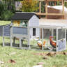One Allium Way Chicken Coop For Backyard Use With Nesting Chamber, Sun ...