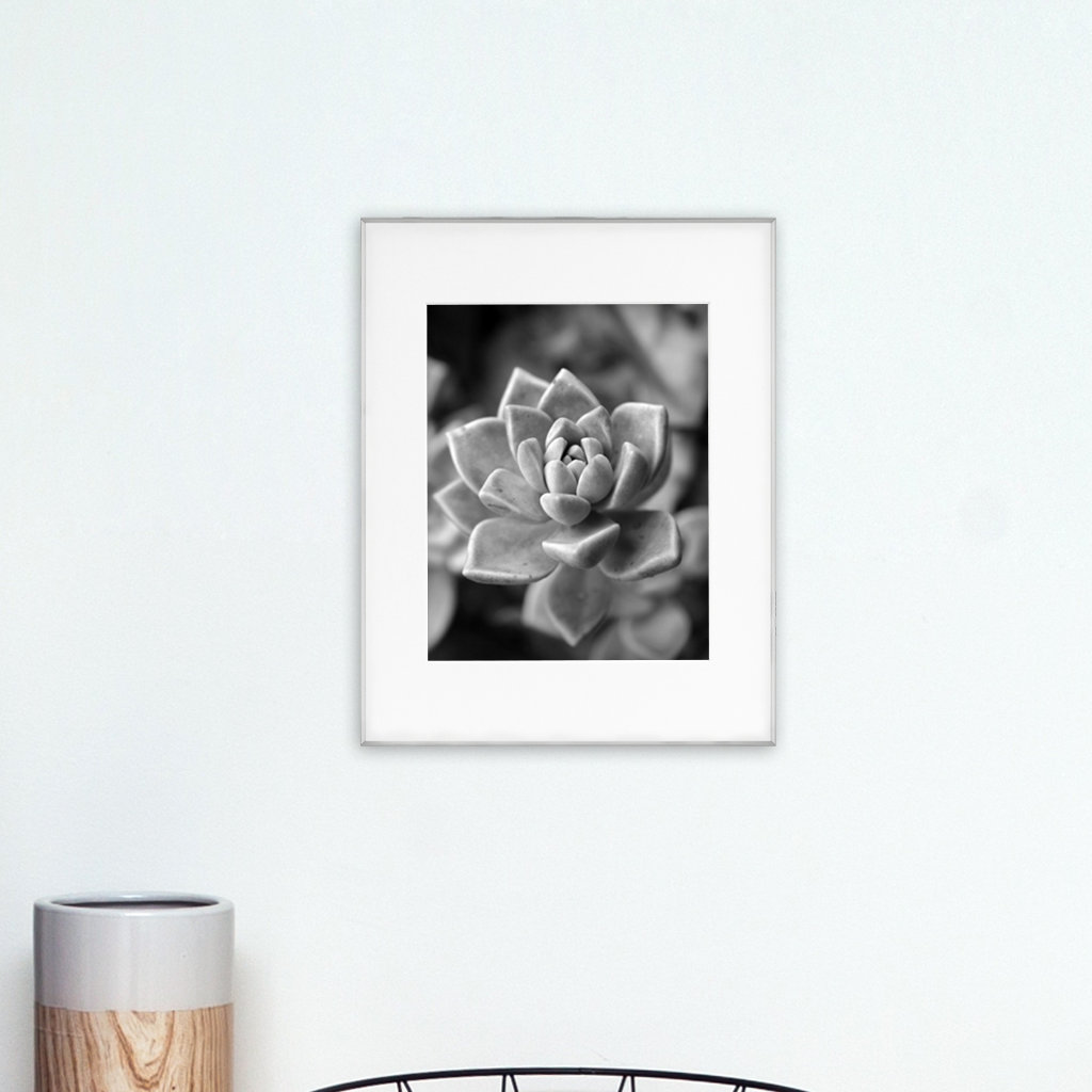 Framatic Fineline Metal Picture Frame & Reviews | Wayfair